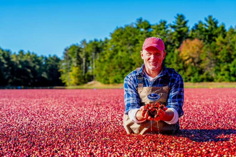 Ocean Spray Cranberries: Superfood Supporting Well-being - Incite ...
